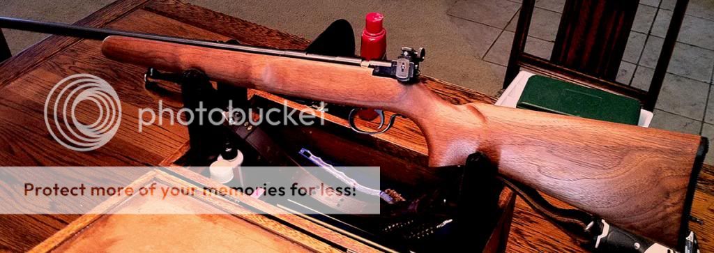 Woodstocks Amazin' Stock Finish & photos | Page 36 | Rimfire Central ...