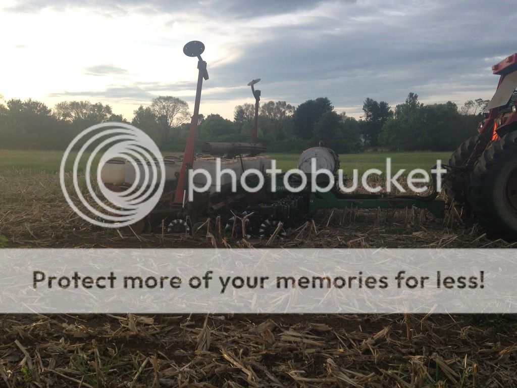 Planting pics - General Chat - Red Power Magazine Community