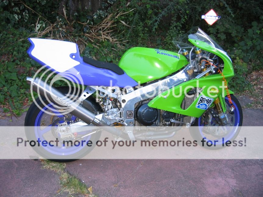 New Team Muzzy 1994 WSBK Project Bike | Kawasaki Ninja ZX Forum